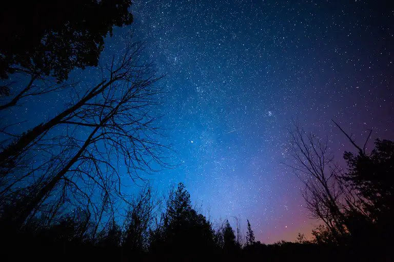 Nightscapes | Nathan Biller